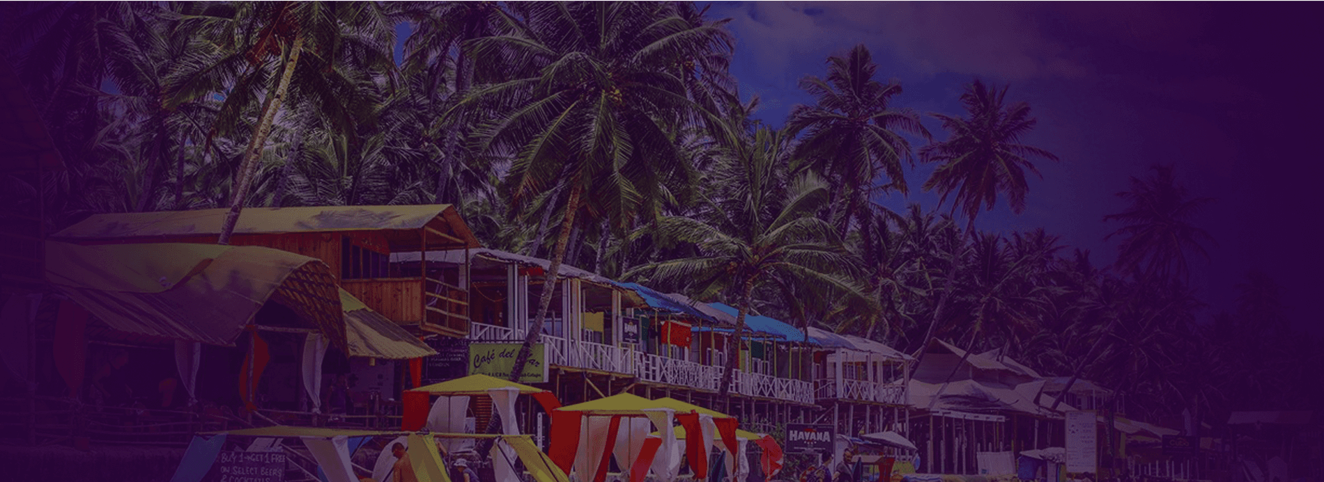 World Legends Pro T20 League – Premier World Legends Cricket League ...